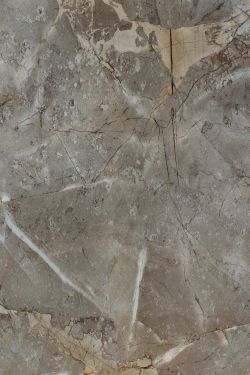 Beige Marble Skin SPC Flooring